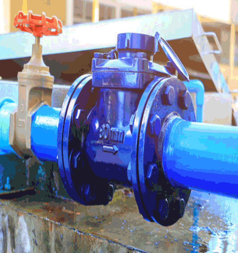 Flow Meters, Inline Flow Meters, Flow Indicator Totalizers, India
